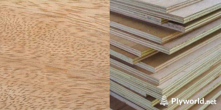 Todo lo que Necesitas Saber sobre la Madera de Mango